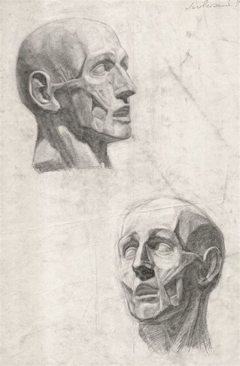 Как рисовать торс Экорше Гудона Методическая последовательность ведения работы — Ghenadie