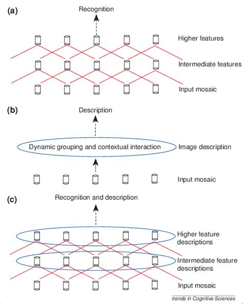 Two Types Of Visual Grouping And Their Combination A Hierachical Download Scientific Diagram