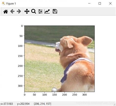 【tensorflow】图片预处理函数central Crop Csdn博客