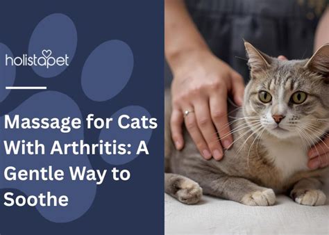Massage For Cats With Arthritis A Gentle Way To Soothe