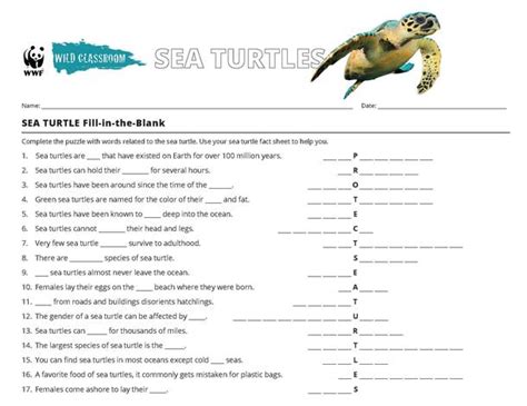 Teaching Tools About Sea Turtles And Oceans Educators Toolkits WWF