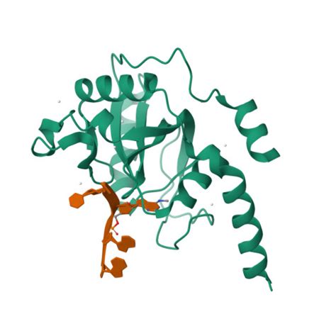 Rcsb Pdb 4rcj Crystal Structure Of Ythdf1 Yth Domain In Complex With