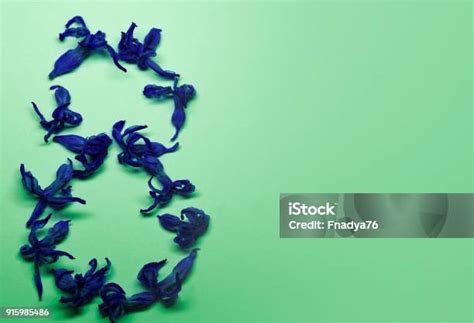 3 월 8 일 빛에 파란 꽃에서 녹색 배경 꽃과 인사 카드입니다 텍스트에 대 한 장소 배경입니다 클로즈업 건조한에 대한 스톡