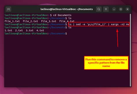7 Easy Methods To Rename Multiple Files Linux
