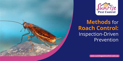 Methods For Roach Control Sunrisepestcontrol