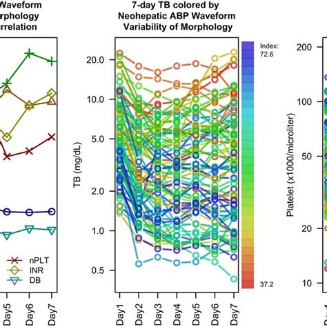 Correlation Between The Variability Of Morphology In The Neohepatic Download Scientific Diagram