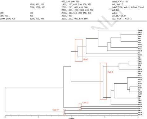 Colour Online Phylogenetic Tree Using Matching Coefficient Based On Download Scientific