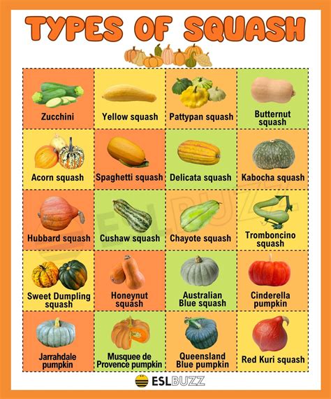 Different Types Of Squash 5 Winter Squashes To Try This Season That
