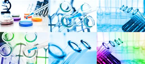 主要组织相容性复合体（major Histocompatibility Complex，mhc）