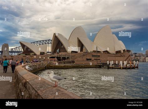 Sydney Opera House View From Botanic Garden With Harbour Bridge In Background Australia 02 04