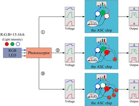 The Schematic Diagram Of The Steady State Color Feature Selection The
