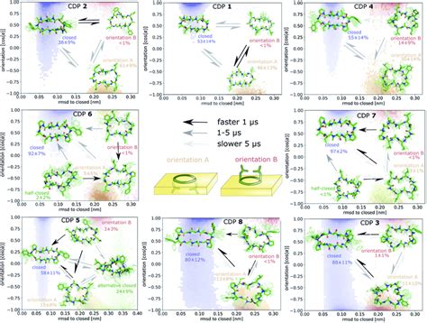 Markov State Models Msms Of Cdp 18 Representative Members Of The Download Scientific