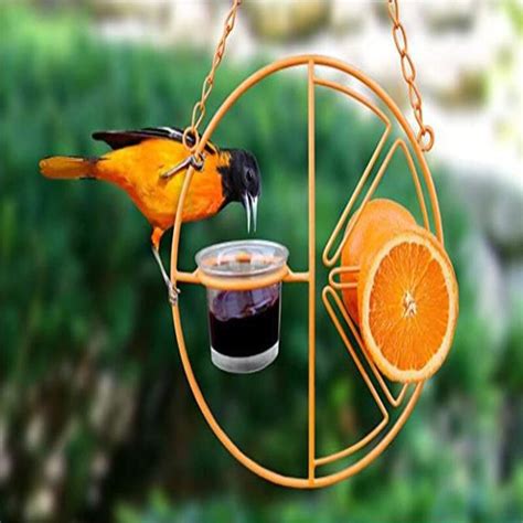 Hanging Chain Durable Oriole Steel Clementine Bird Vicedeal