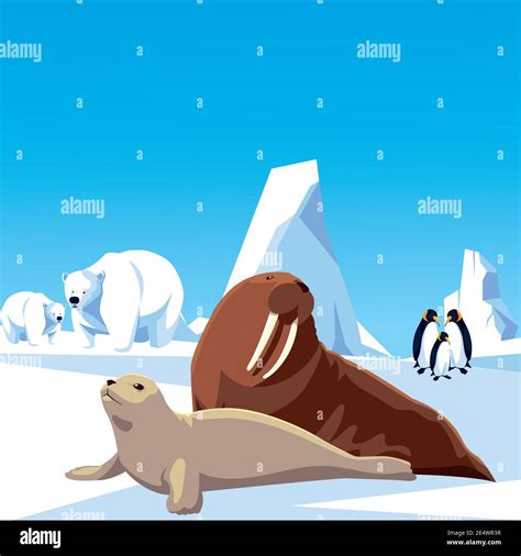 Polar Bear Seal Anime At Ken Potter Blog