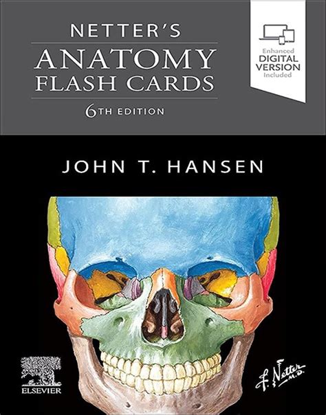 Netters Anatomy Flash Cards Netter Basic Science 6th Edition Your Book Stop