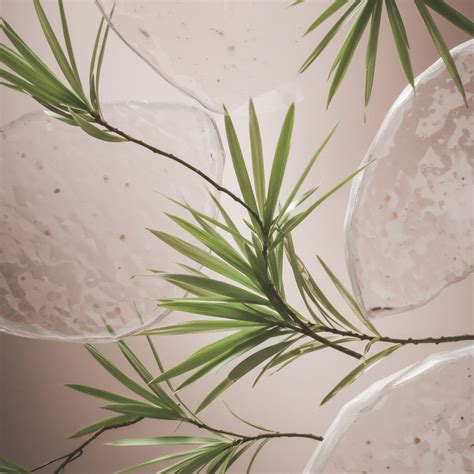 Socio Spatial Theory → Term