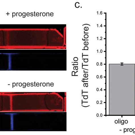 Progesterone Sensor LOD The Paper Based Progesterone Sensor Was Tested Download Scientific