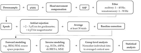 Summary Of Typical Practices For Infant Meg Data Preprocessing And