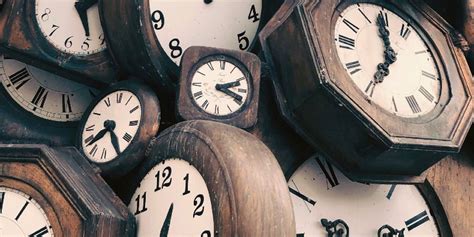 Cold Cases And Old Secrets In Cozy Mysteries ‹ Crimereads