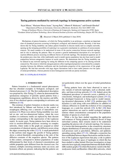 Turing Patterns Mediated By Network Topology Muñuzuri 2 And Gourab