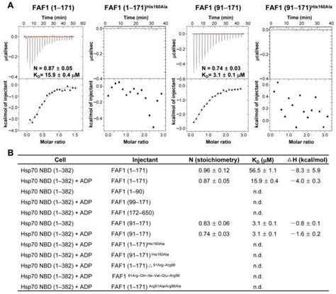 Itc Analysis Of Faf1 And Hsp70 Nbd A Itc Results Of Faf1 Binding To Download Scientific