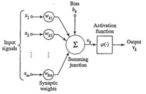 Neural Neuron Mathematical Model Baranti Et Al 2015 Download