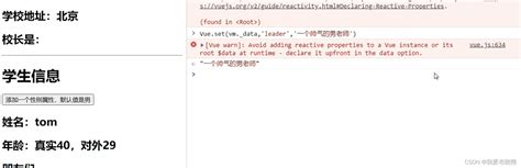 7vue 监测数据的原理、t、vmsett和vmset Csdn博客