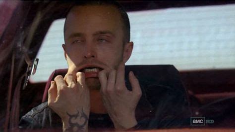 Jesse Pinkman Bitch