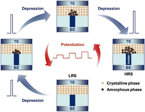 Bidirectional Electric‐induced Conductance Controllability For Synaptic