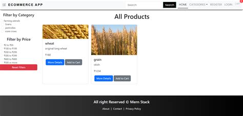 Portfolio Manash Anand