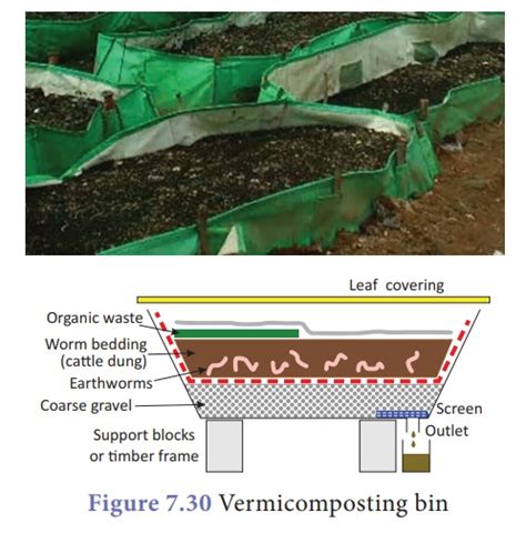 Vermitechnology Vermiculture Vermicompost Materials Required