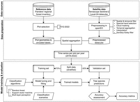 Remote Sensing Free Full Text Temporal Transferability Of Tree Species Classification In