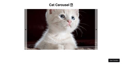 React Cat Carousel Starter Code Codesandbox