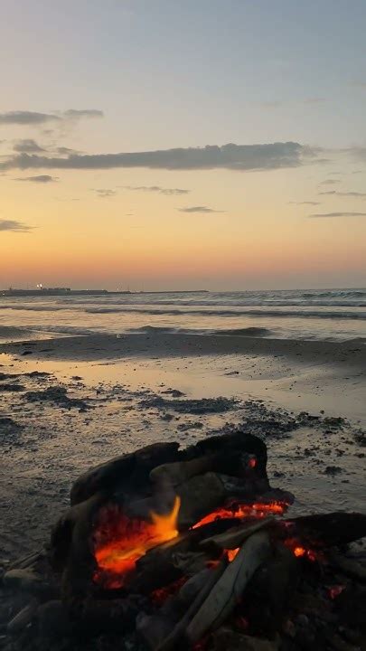 یک روز می‌آیی که من دیگر دچارت نیستم با صدای افشین یدالهی Youtube