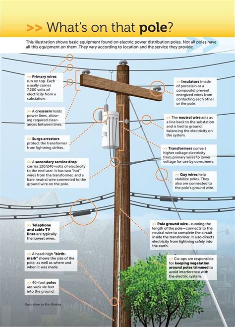 This Illustration Shows Basic Equipment Found On Electric Power