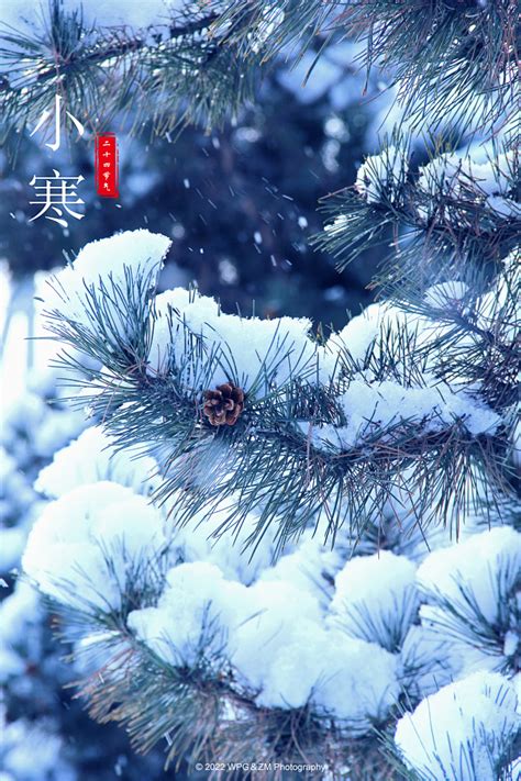 今日小寒 小寒 是二十四节气中的第23个节气 冬季的第5个节气 于每年公历1月5 7日交节 冷气积久而寒 小寒是天气寒冷但还没有到极点的意思
