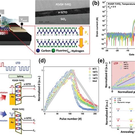 A Shows The Schematic Of The Fefet‐based Synaptic Device Employing Download Scientific