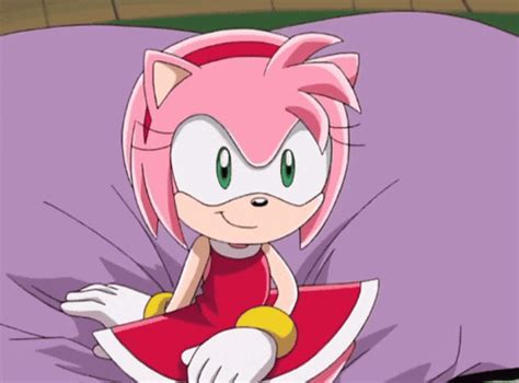 Amy Amy Rose  Amy Amy Rose Sonic X Discover And Share S