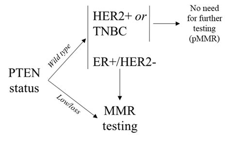 Diagnostic Algorithm For The Evaluation Of Mismatch Repair Status In