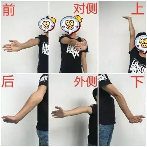 手臂旋前是个什么动作 前臂内旋外旋动作图 前臂旋前旋后怎么区分 大山谷图库