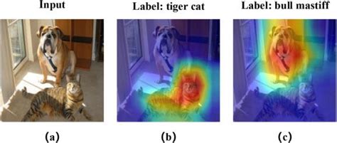 The Only 1 Thing To Know For Interpreting Any Cnn Based Model By Kirill Klimushin Feb 2024