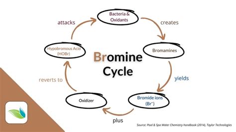 What Is Bromine