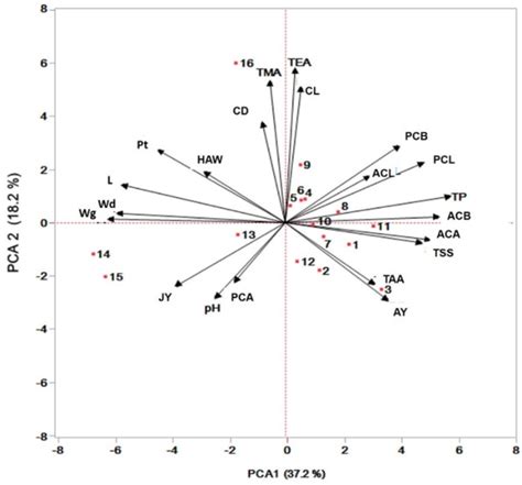 Grouping The Examined Traits With The Biplot Analysis Method And The