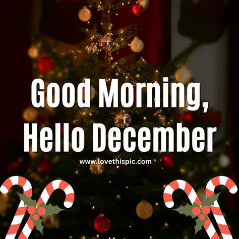 Good Morning Hello December Pictures Photos And Images For