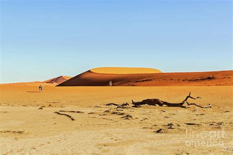 Sand Dune In The Namibian Desert Near Sossusvlei In Namib Nauklu Photograph By Marek Poplawski