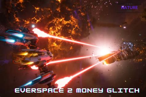 Everspace 2 Money Glitch Fact Or Fiction The Nature Hero