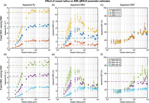 Investigation Of The Effect Of Vessel Radius On The Parameter Estimates