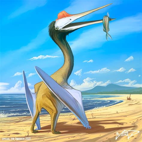 Commission Quetzalcoatlus By Finwalsmd On Deviantart
