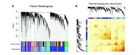 Division And Validation Of Co Expression Modules A Cluster Download Scientific Diagram