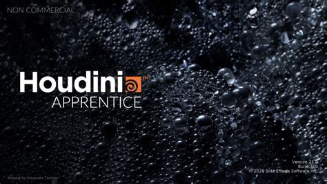 Apprentice Faqs Sidefx